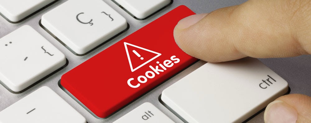 Cómo Solucionar El Error De Cookies Bloqueadas En Wordpress Actualizado Ayuda Wordpress