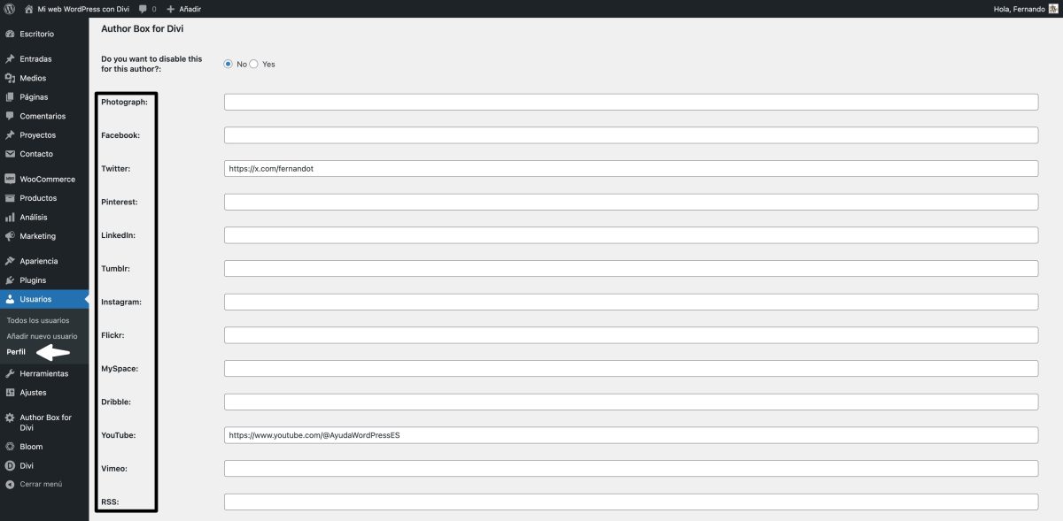 Caja de autor al final de los contenidos en Divi – Ayuda WordPress